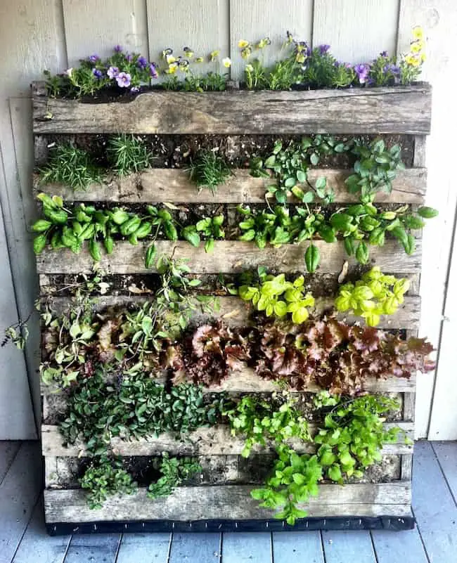 21 Amazing Ideas To Build Your Own Tower Garden – Gardenoid