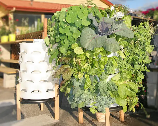 21 Amazing Ideas To Build Your Own Tower Garden – Gardenoid