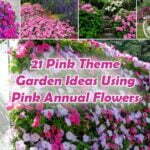 33 Apartment Balcony Garden Ideas That You Will Love | Gardenoid