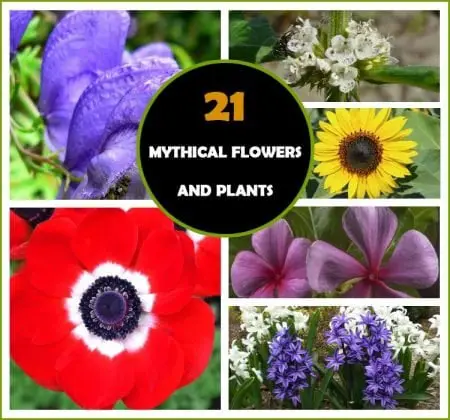 21 Sacred Mythical Flowers And Plants | Gardenoid