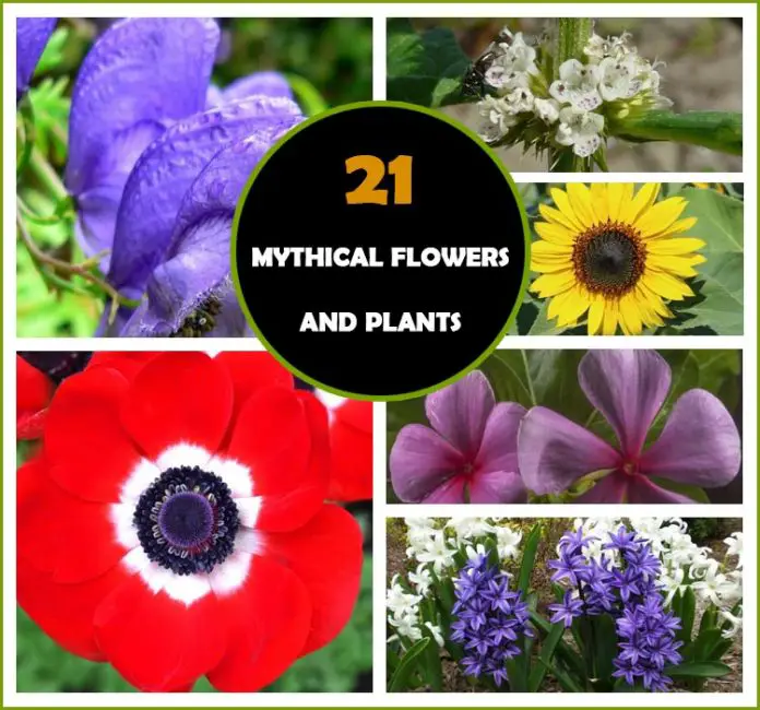 21 Sacred Mythical Flowers And Plants | Gardenoid