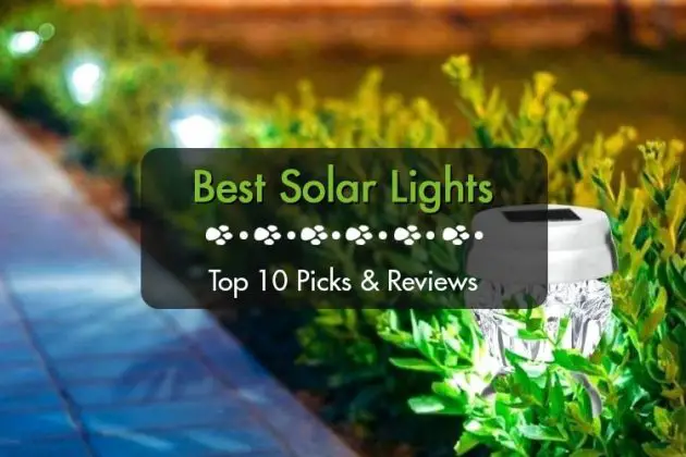 11 Best Solar Lights for Garden – Top Picks and Reviews for 2023