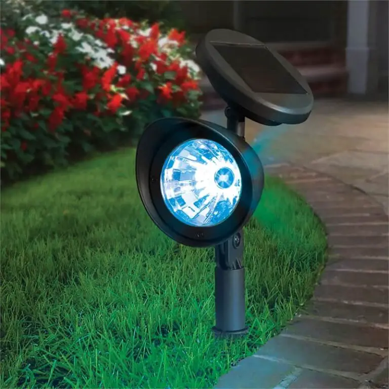 11 Best Solar Lights for Garden – Top Picks and Reviews for 2023